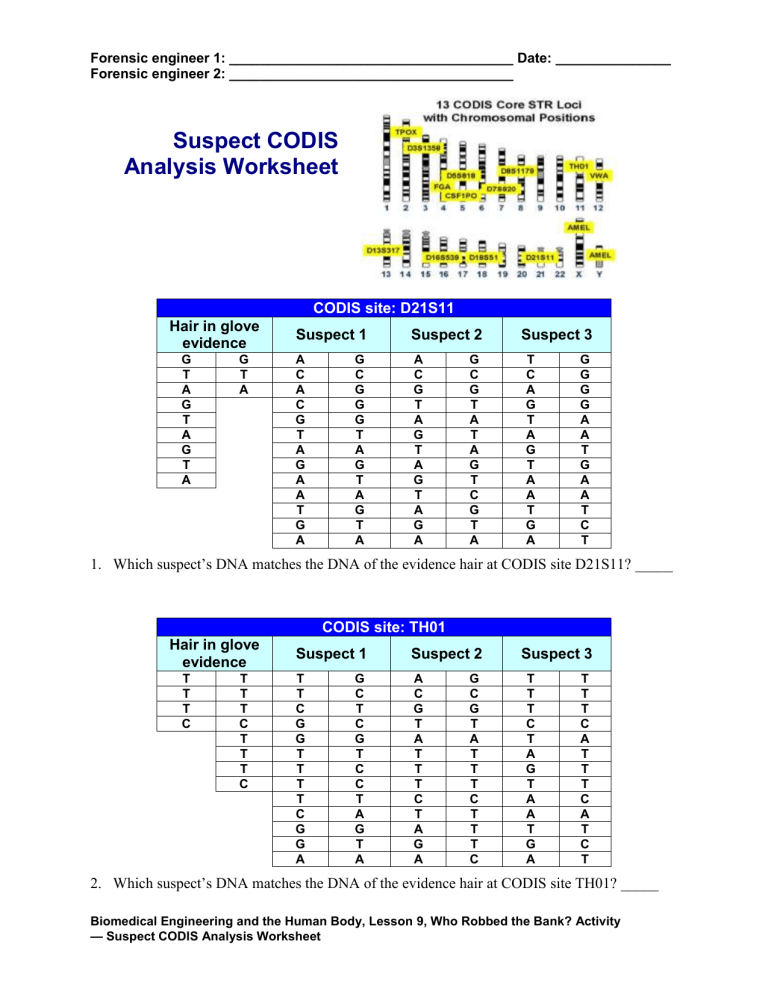 Forensic DNA Analysis Worksheet: CODIS Matching Activity