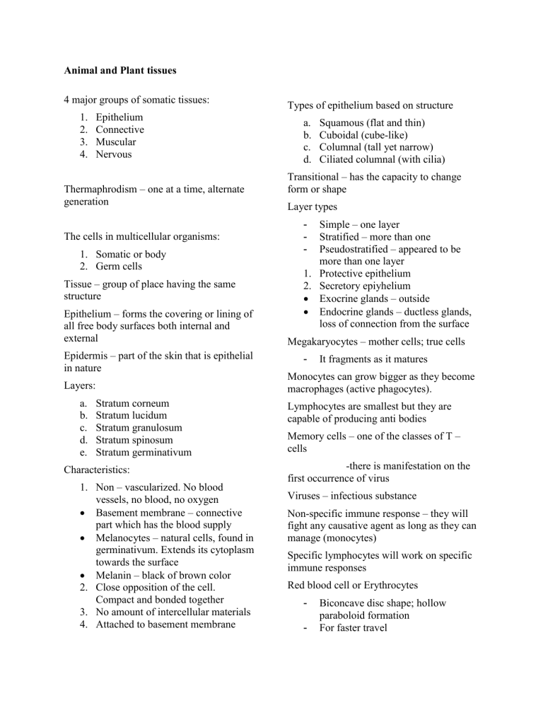 Animal and Plant Tissues Lecture Notes