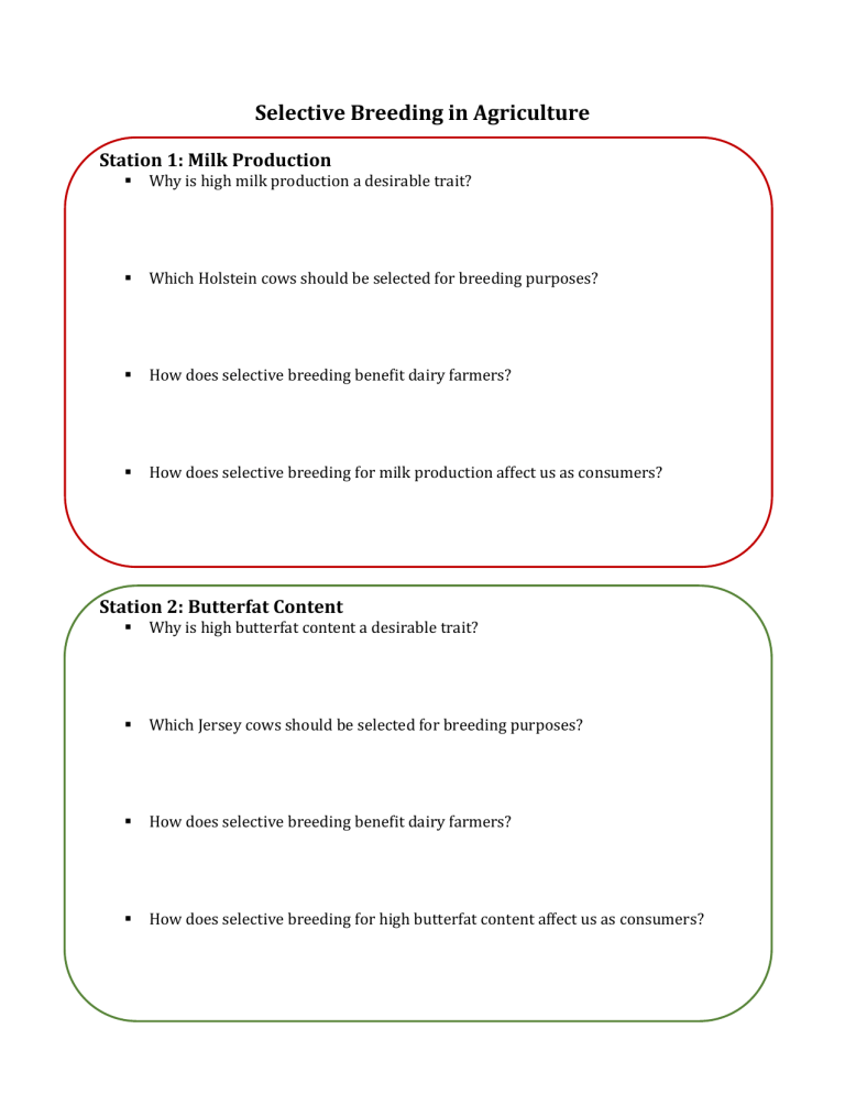 Selective Breeding in Agriculture Worksheet