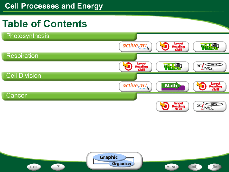 CellProcessesAndEnergy