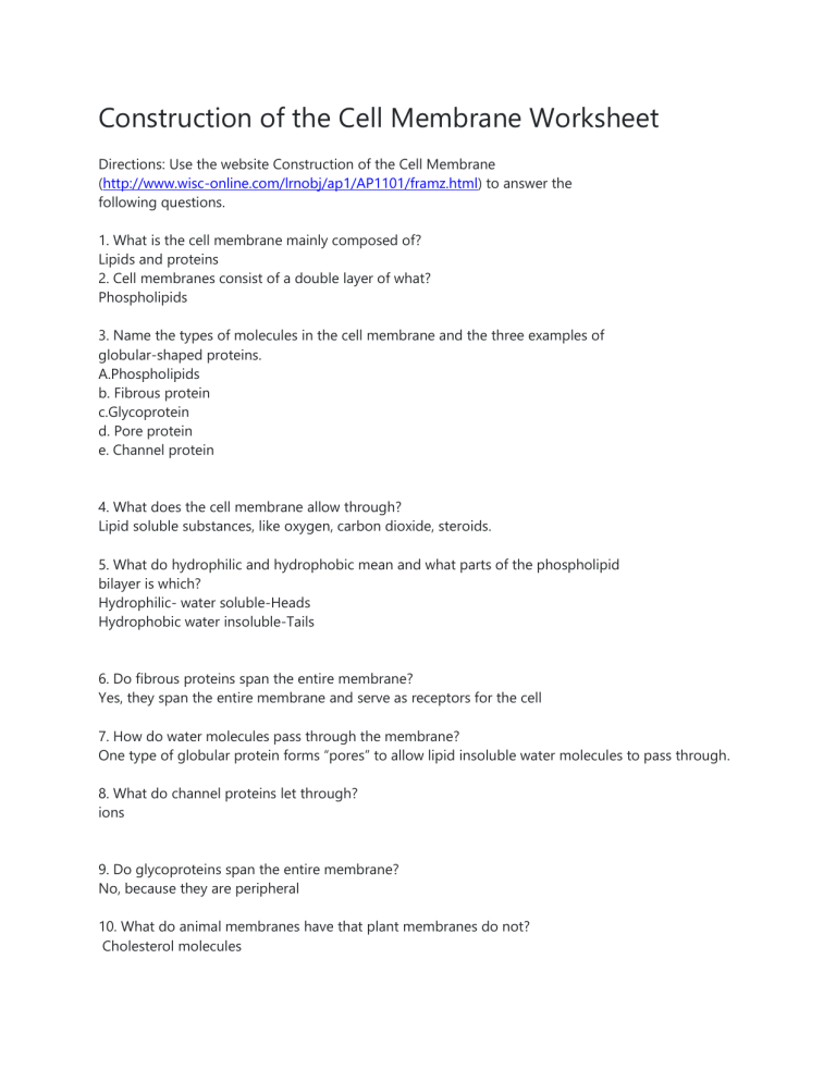 Cell Membrane Structure Worksheet: Lipids & Proteins