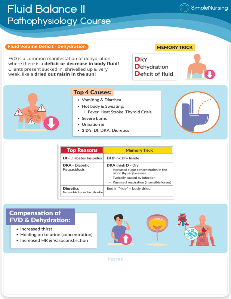 Fluid Volume Deficit: Dehydration Pathophysiology