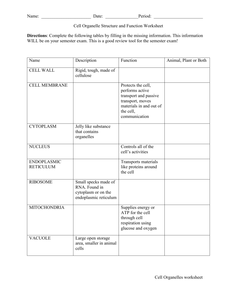 Cell Organelle Structure & Function Worksheet