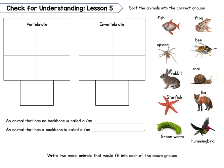 Vertebrates vs. Invertebrates Worksheet