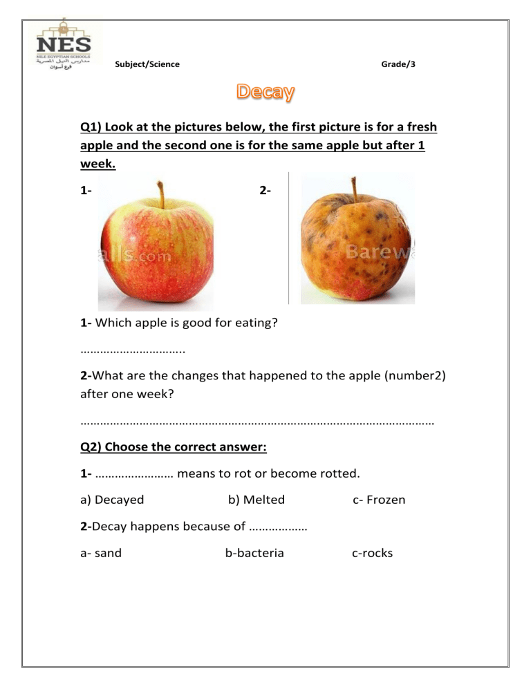 Decay Worksheet: Science for Grade 3