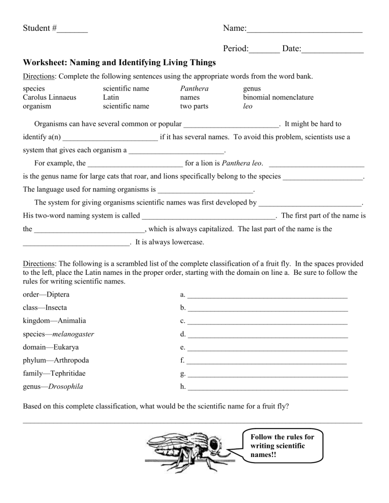 Naming Living Things Worksheet: Binomial Nomenclature