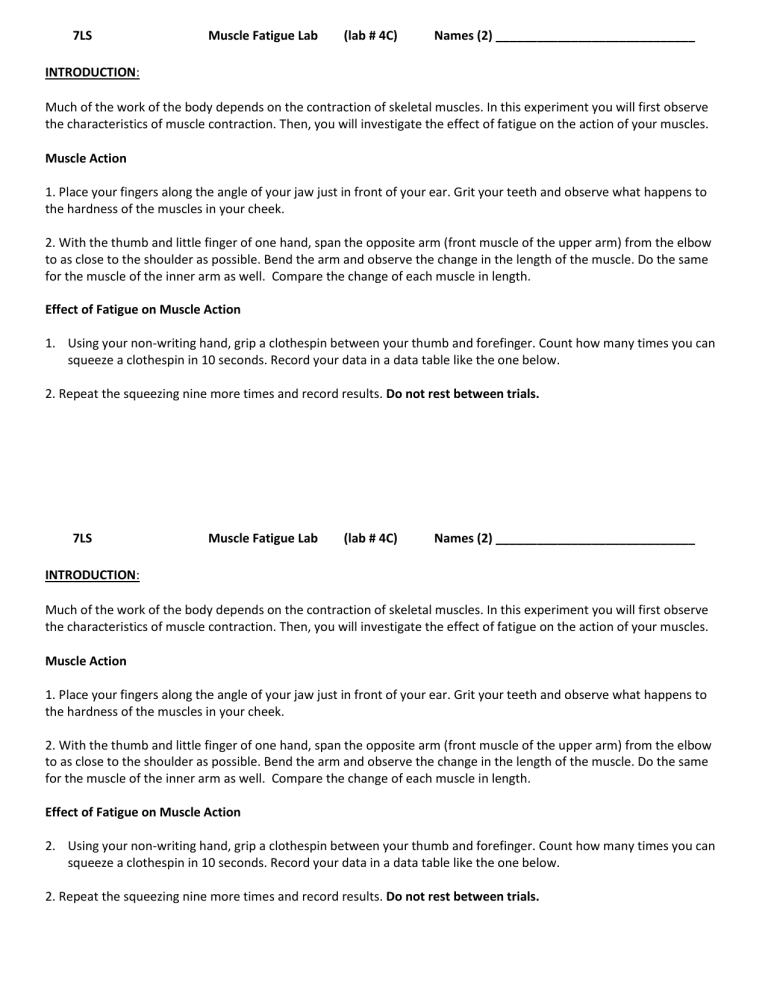 Muscle Fatigue Lab: Experiment & Analysis
