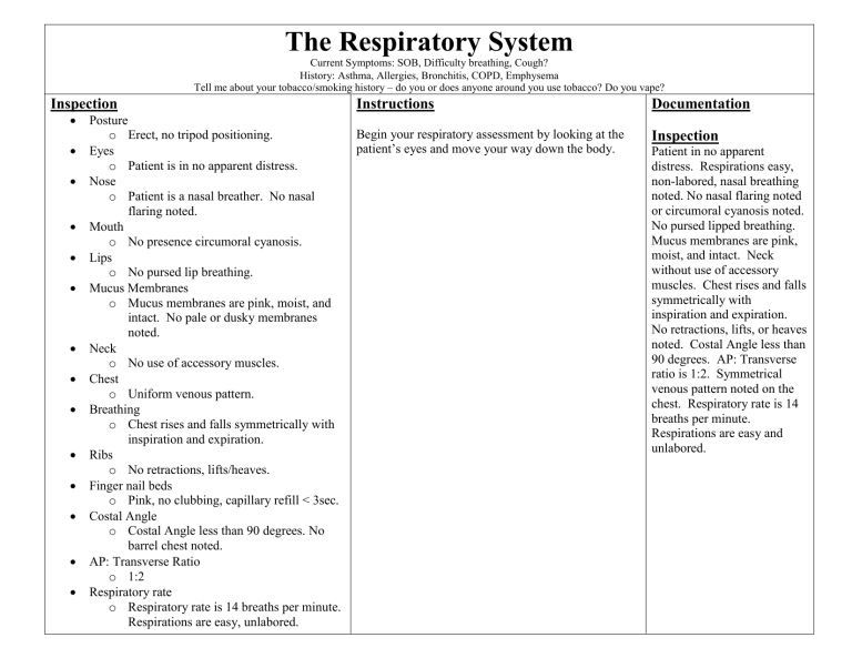 Respiratory System Assessment Guide