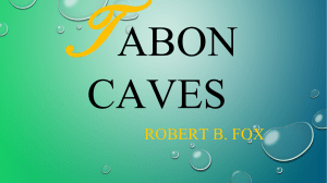 Tabon Man Fossil Analysis: Philippine Anthropology