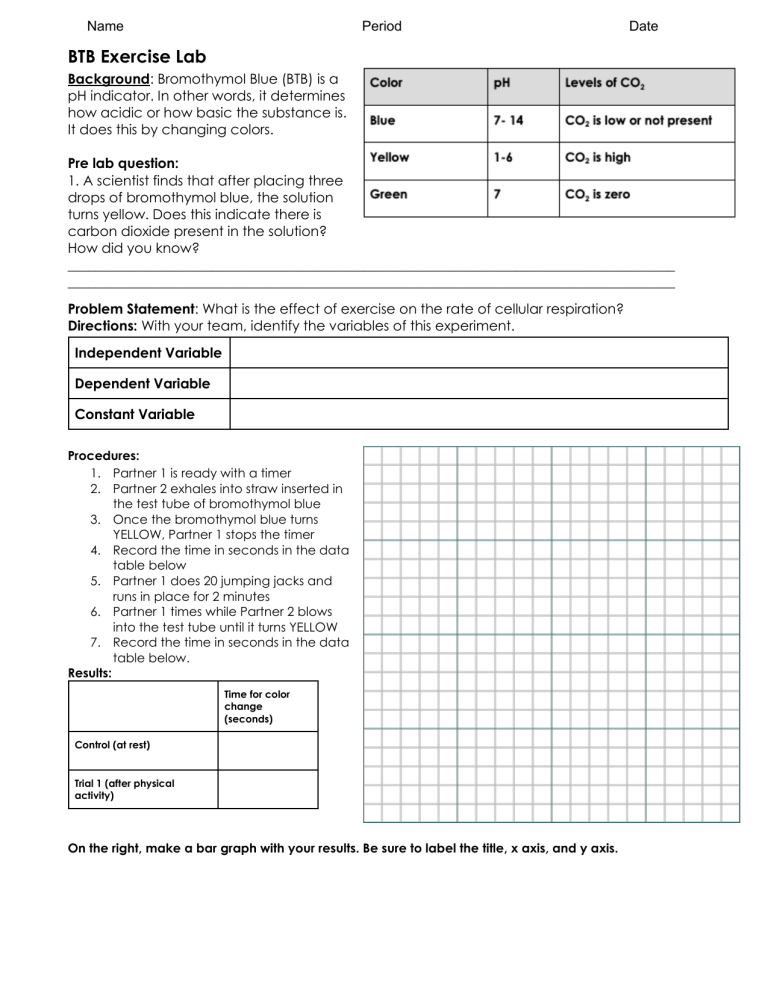 BTB Exercise Lab: Cellular Respiration Experiment