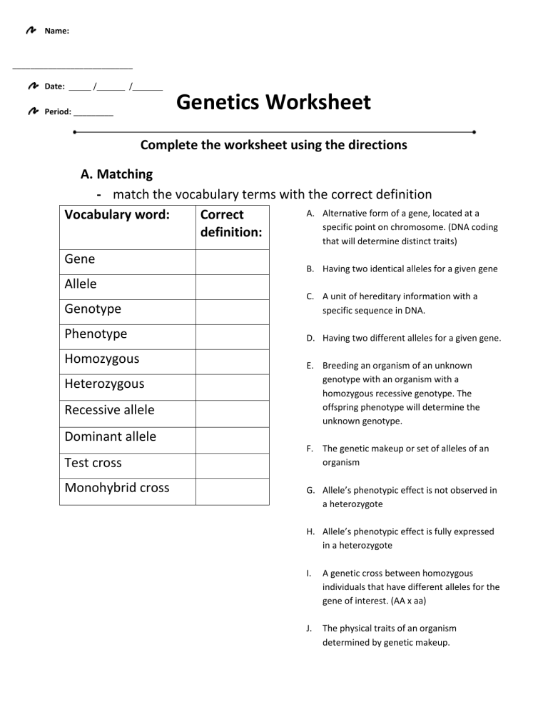 Genetics Worksheet: Vocabulary, Chromosomes, Punnett Squares