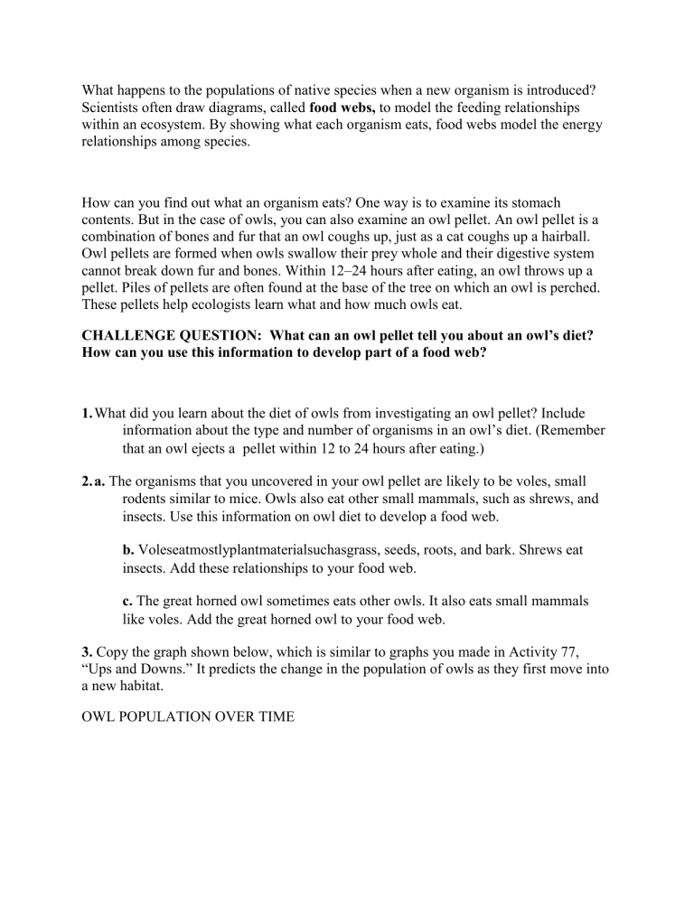 Owl Pellet Food Web Worksheet