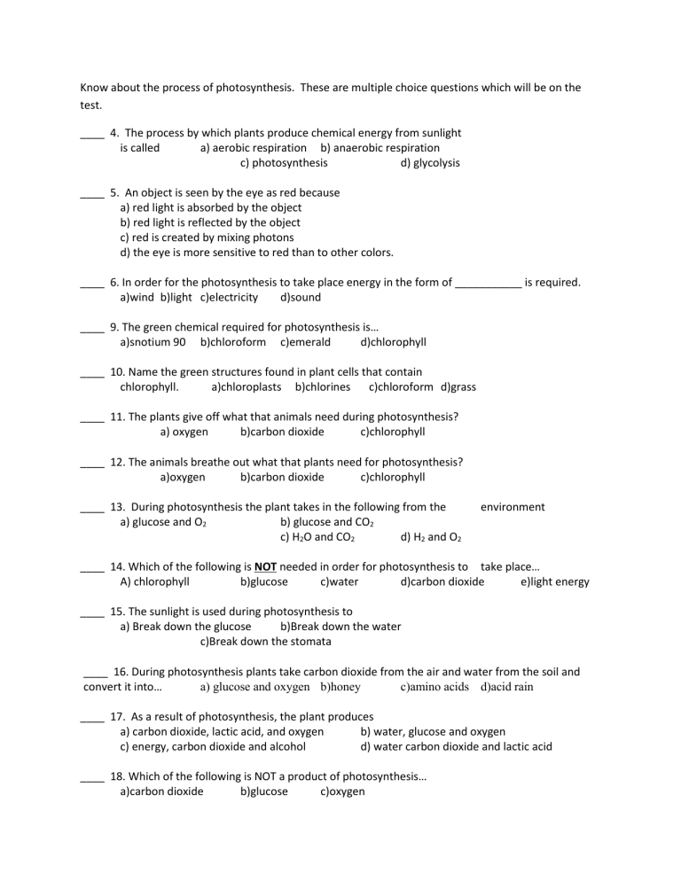 Photosynthesis Worksheet: Test Your Knowledge