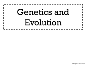 Evolution Vocabulary Quiz Answer Key