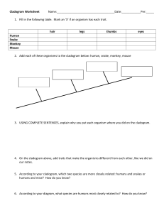 Phylogenetic Tree Worksheet: Cladograms & Relationships