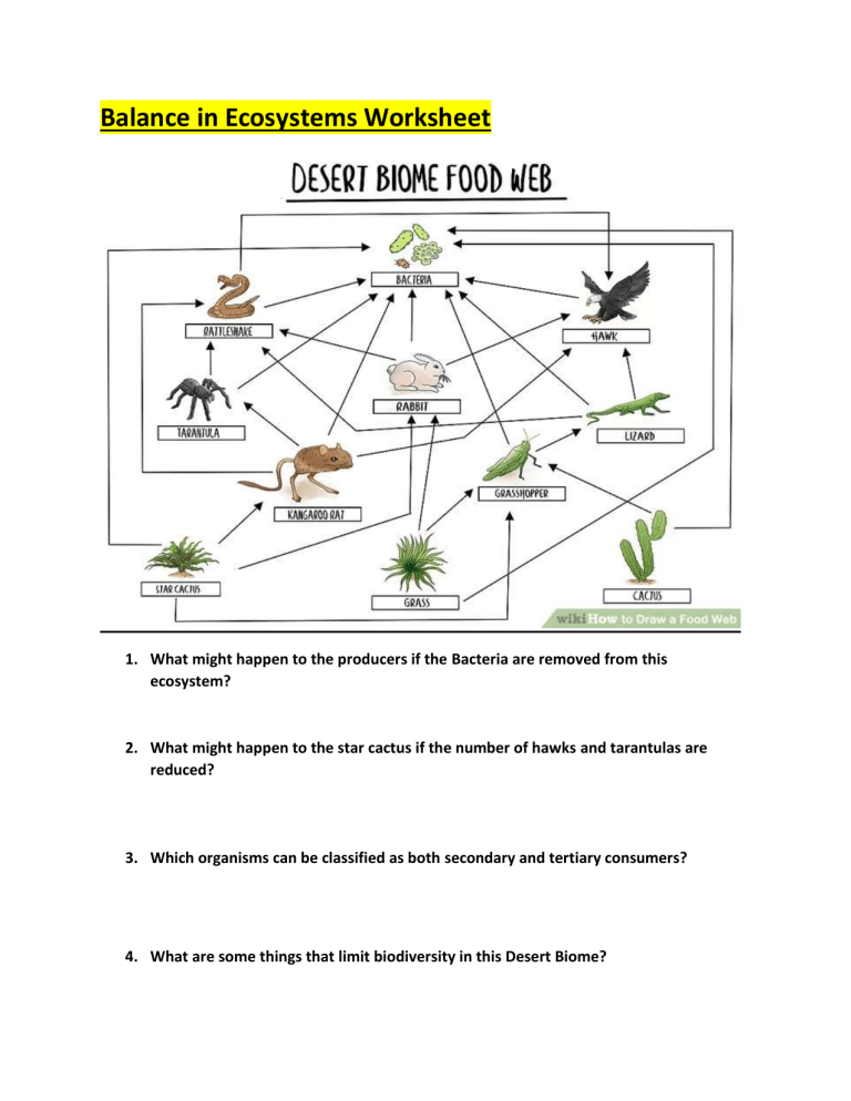 Desert Biome Food Web Worksheet