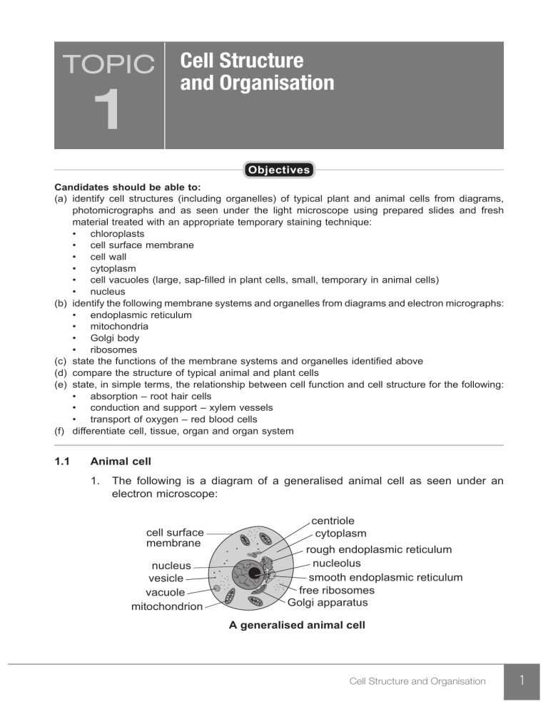 Cell Structure & Organization: Textbook Excerpt