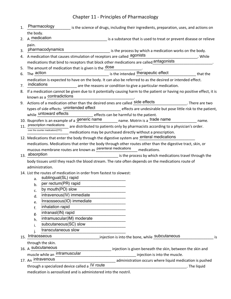 Pharmacology Principles Worksheet: Key Concepts Review