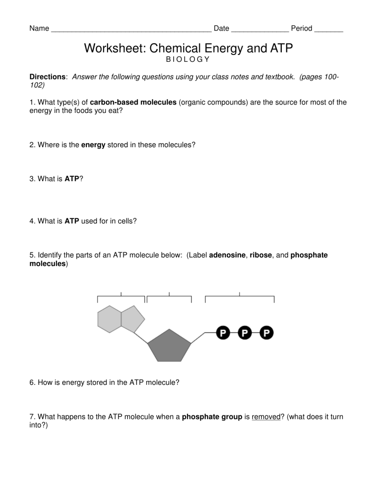 Chemical Energy and ATP Worksheet: Biology High School