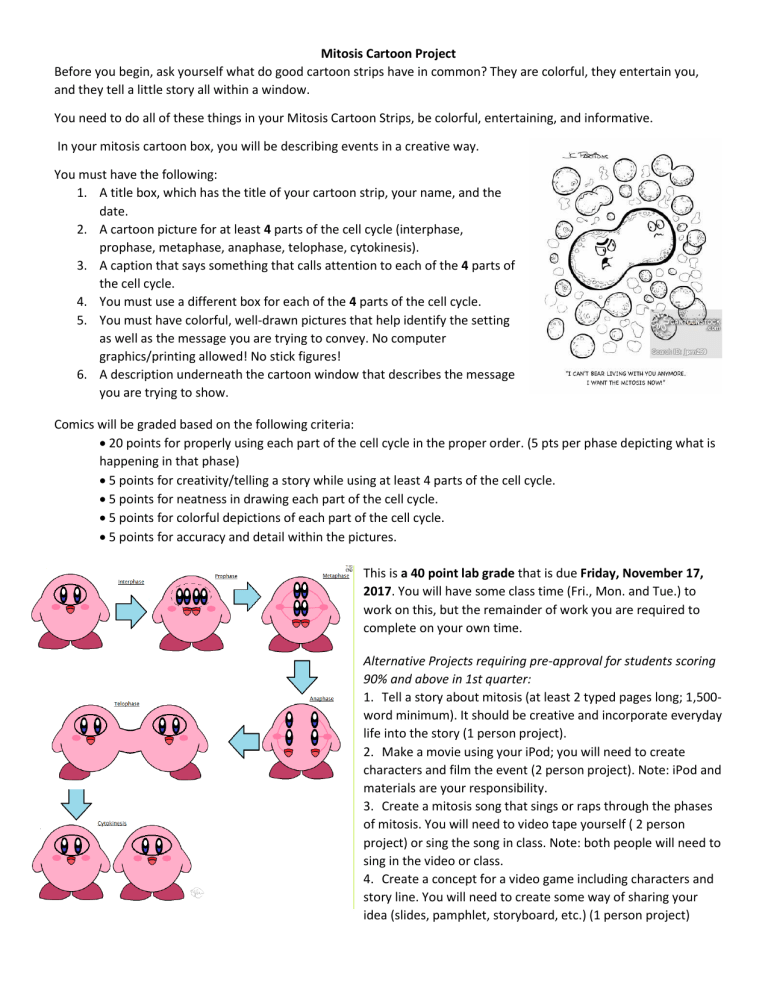 Mitosis Cartoon Project Instructions - High School Biology