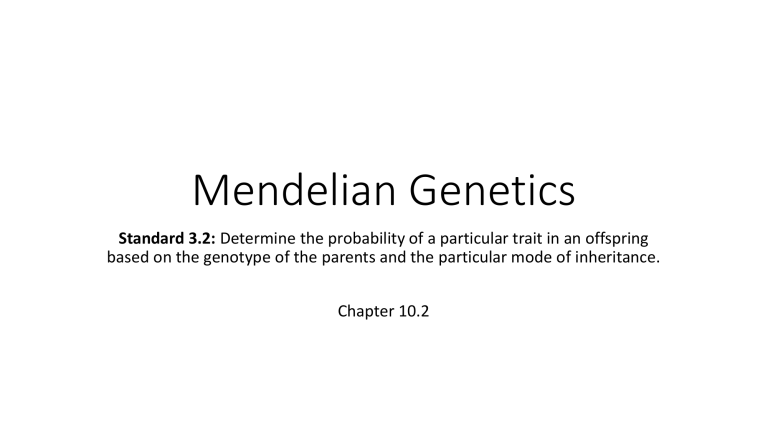 Mendelian Genetics: Inheritance & Probability