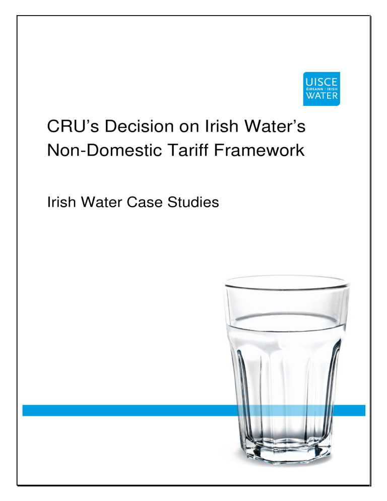 Irish Water Tariff Case Studies: Impact Analysis