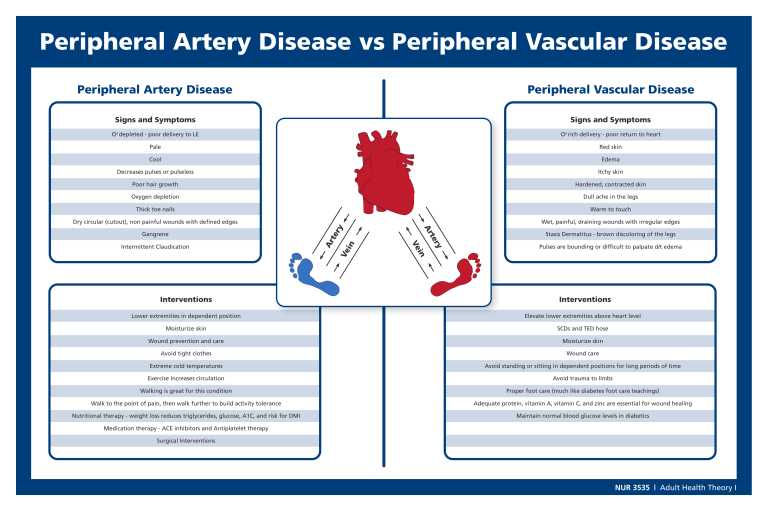PAD vs PVD: Signs, Symptoms & Interventions
