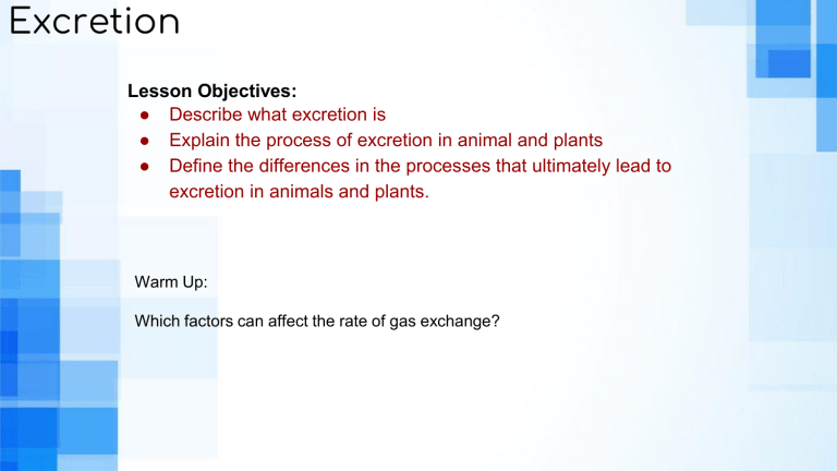 Excretion in Animals and Plants: Biology Presentation