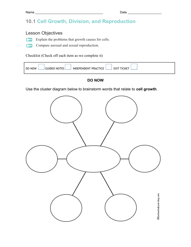 Cell Growth, Division & Reproduction Worksheet