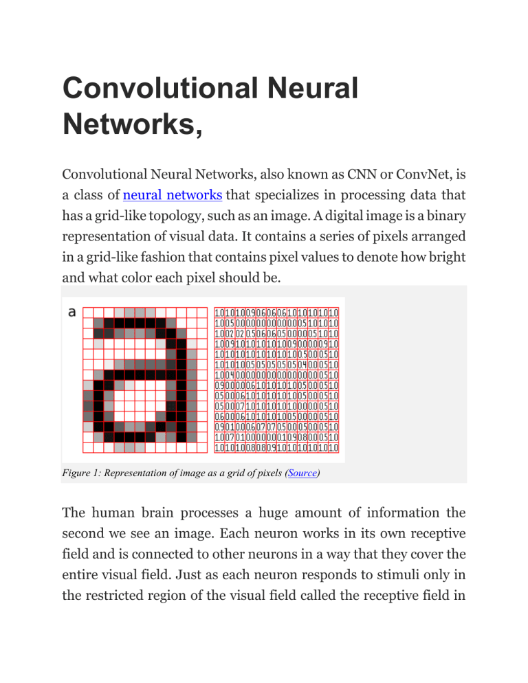 Convolutional Neural Networks (CNNs) Explained