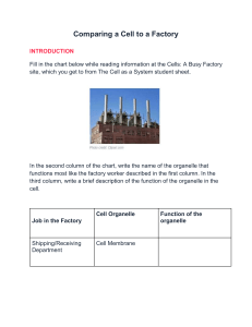 Cell Organelle Notes: Functions & Factory Analogy