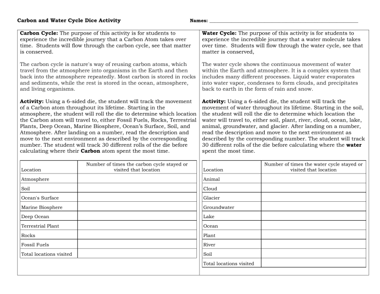 Carbon & Water Cycle Dice Activity
