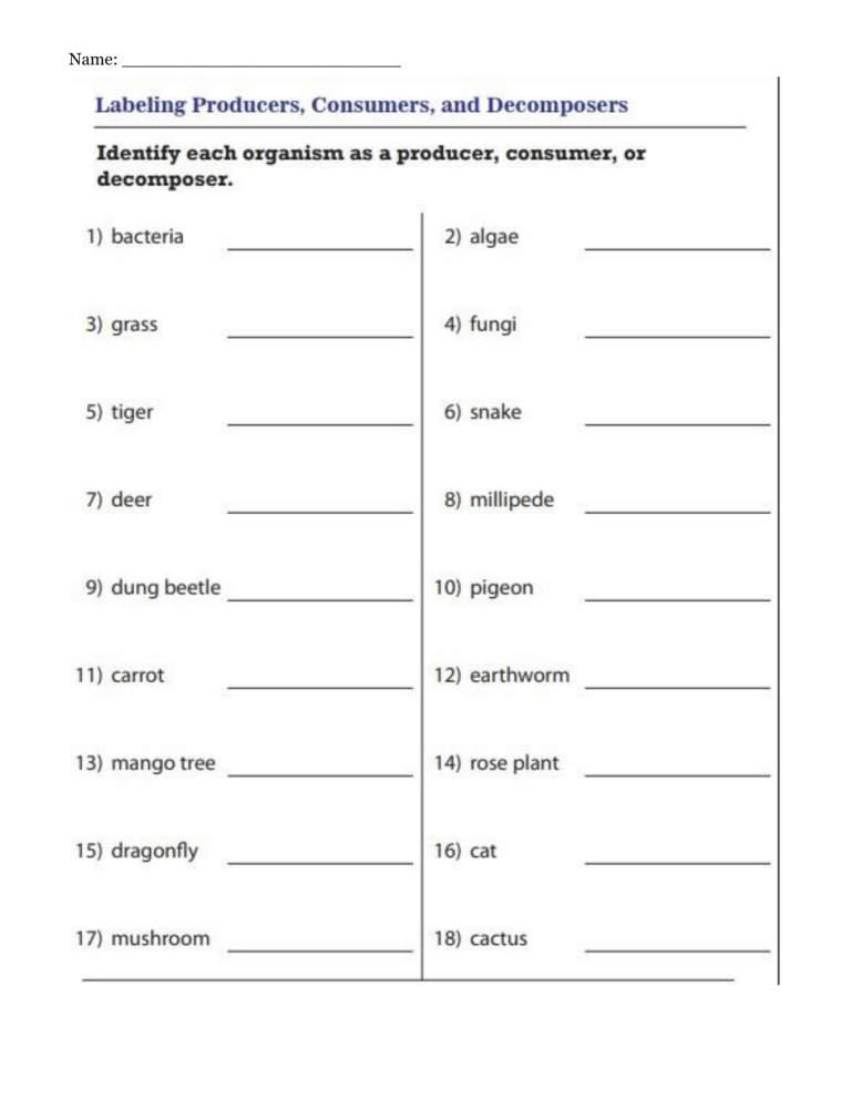 Producers, Consumers, Decomposers Worksheet