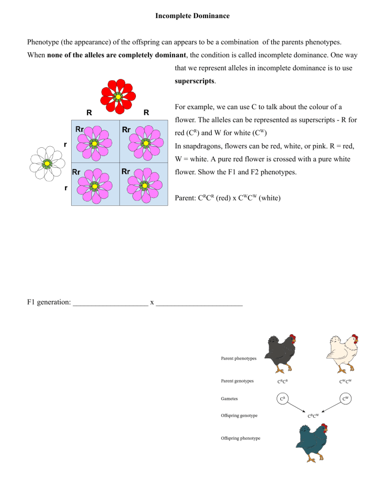 incomplete Dominance