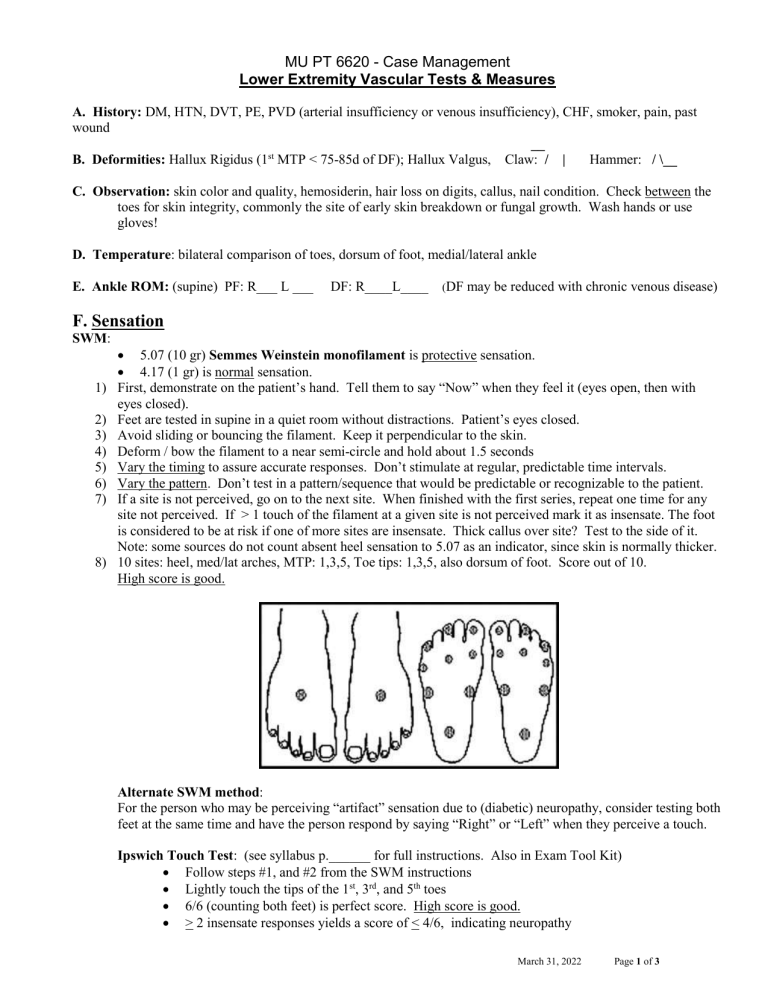 Lower Extremity Vascular Assessment: Case Management Protocol