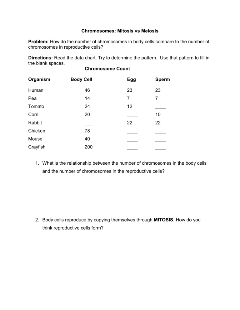 Intro to Meiosis: Chromosome Number patterns