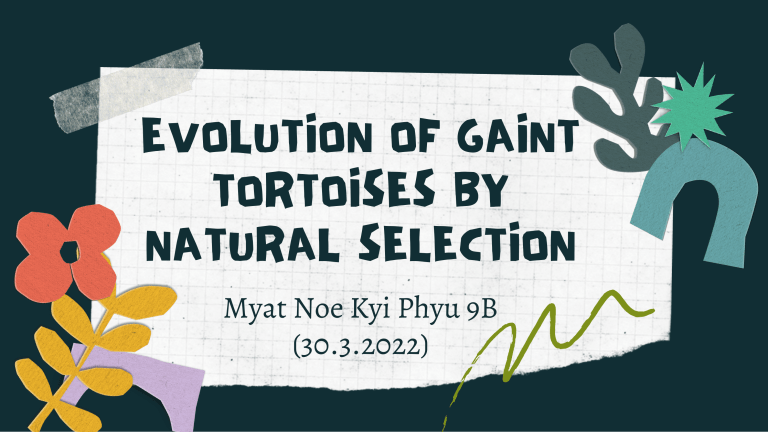Giant Tortoise Evolution by Natural Selection