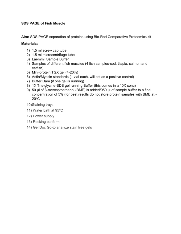 SDS PAGE Fish Muscle Protein Separation Protocol
