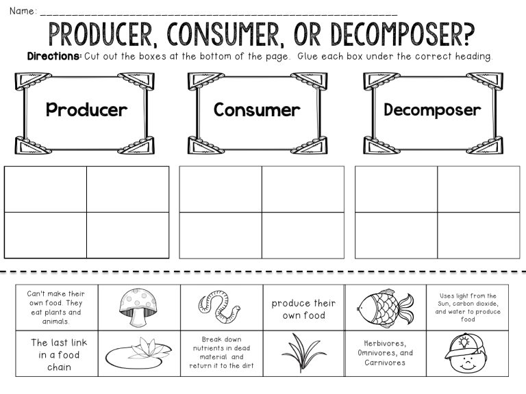 Producer, Consumer, Decomposer Worksheet
