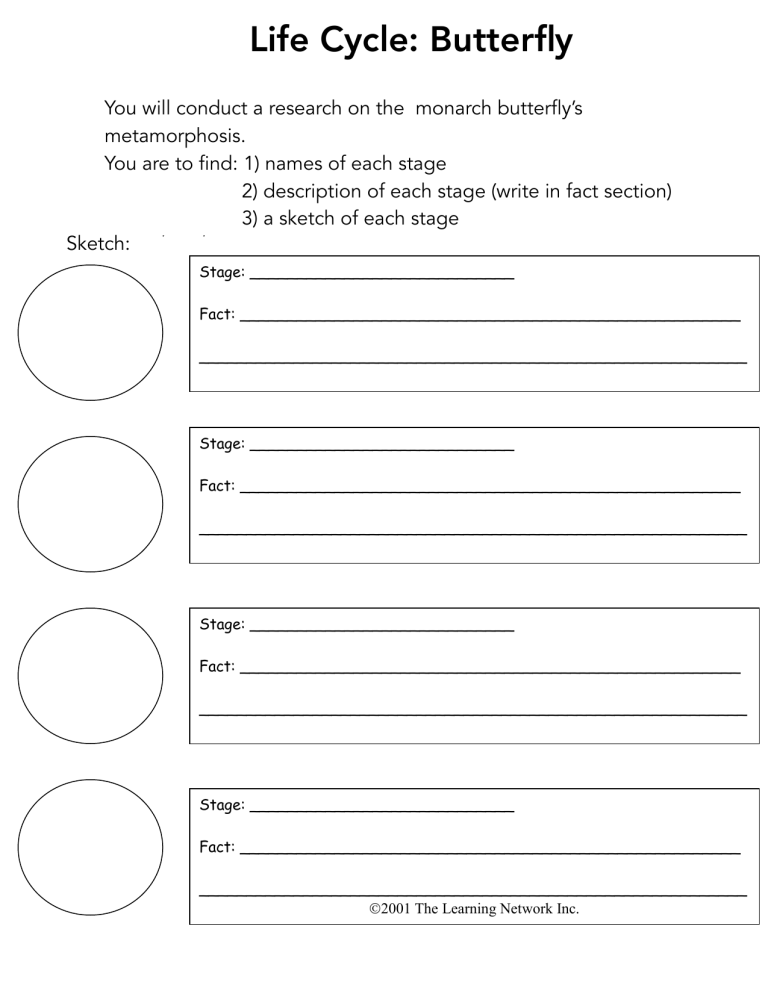 Butterfly Life Cycle - Monarch