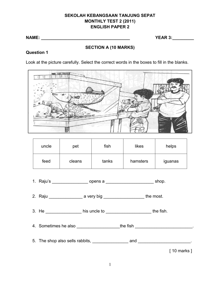 Year 3 English Test Paper - Vocabulary & Grammar