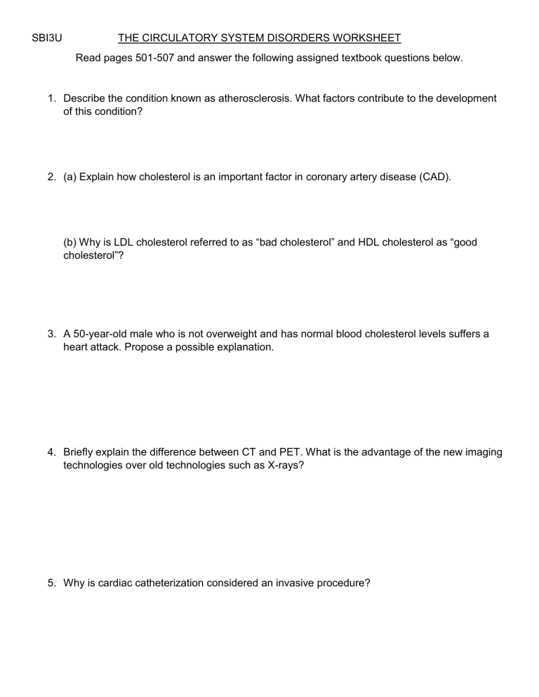 Circulatory System Disorders Worksheet