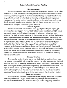 Body-Systems-Worksheet-