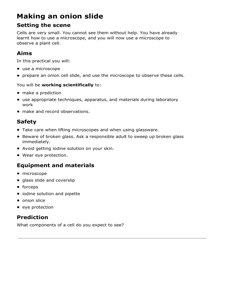 Making an Onion Slide: Lab Worksheet
