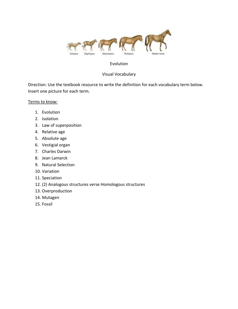 Evolution Visual Vocab 1-15