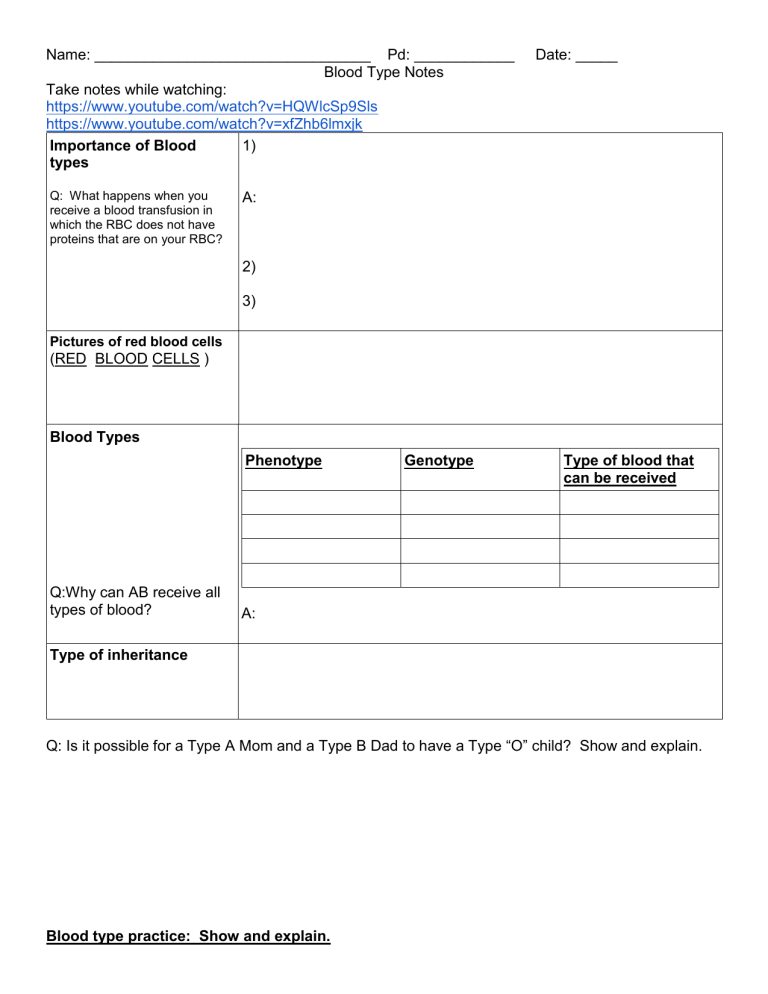 Blood Type Worksheet: Genetics & Transfusions
