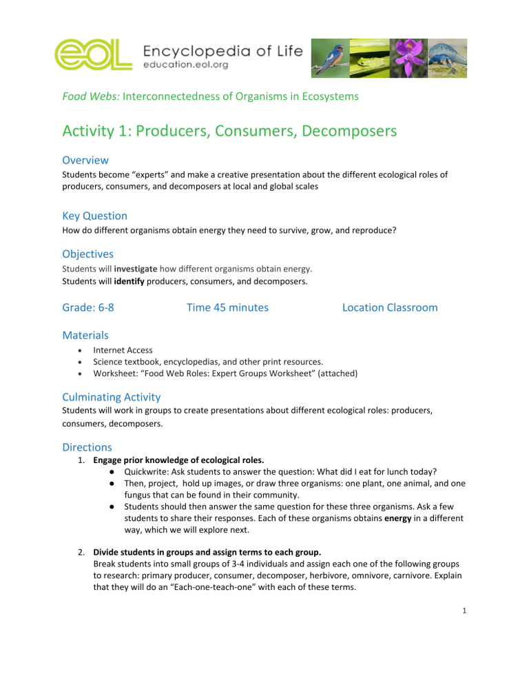 Food Webs: Producers, Consumers, Decomposers Lesson Plan