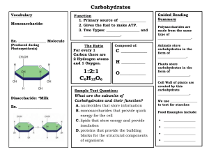 carb worksheet