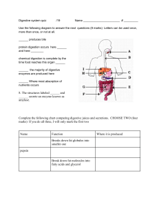 Digestive system