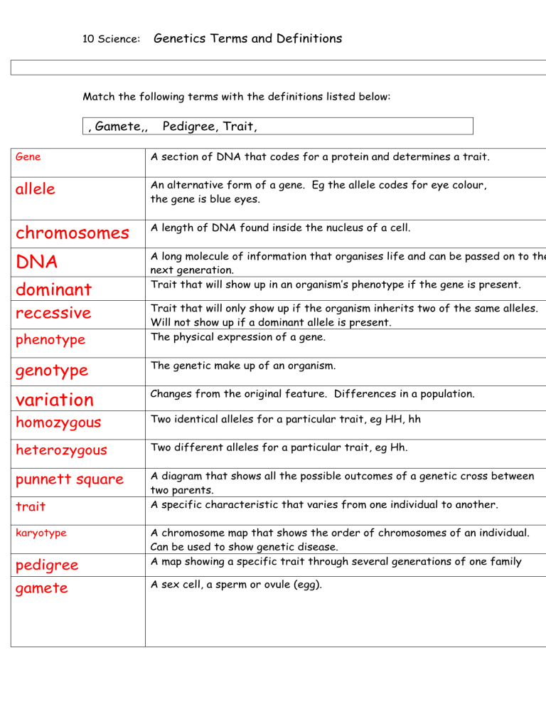 Year 10 Genetics Definitions student activity